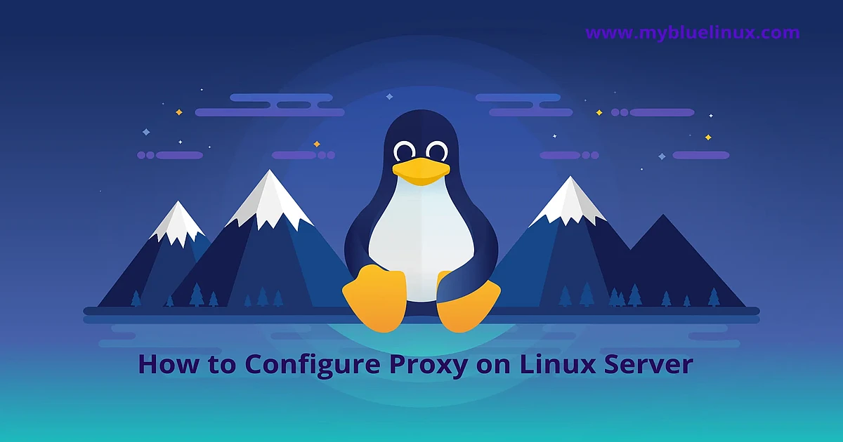 How to Configure Proxy in Debian/CentOS/RHEL/Fedora - MyBlueLinux.com